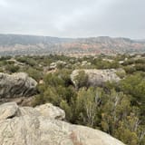 Rock Garden Trail, Texas - 1,023 Reviews, Map | AllTrails
