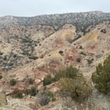 Rock Garden Trail, Texas - 1,023 Reviews, Map | AllTrails