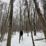 Stevens Glen Trail, Massachusetts - 402 Reviews, Map | AllTrails