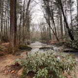 Big Berea Trail, Bull Creek Trail, and White Pine Loop, North Carolina ...