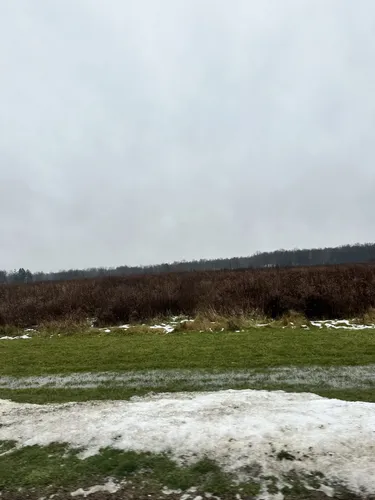 Best Hikes and Trails in Frohring Meadows | AllTrails