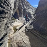 Many Pools Trail, Utah - 1,267 Reviews, Map | AllTrails