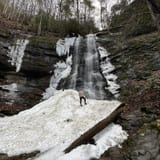 Sill Branch Falls, Tennessee - 716 Reviews, Map | AllTrails