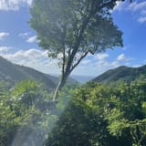 Reef Bay Trail, Saint John, US Virgin Islands - 916 Reviews, Map ...