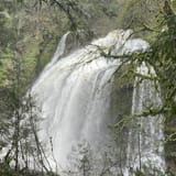 Little Mashel Falls Trail via Bud Blancher Trail, Washington - 3,168 ...