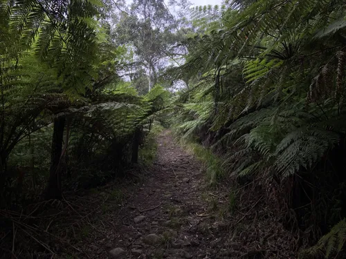 Best Hikes and Trails in Gulaga National Park | AllTrails