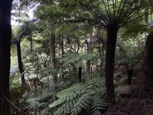 Best Hikes and Trails in Gulaga National Park | AllTrails