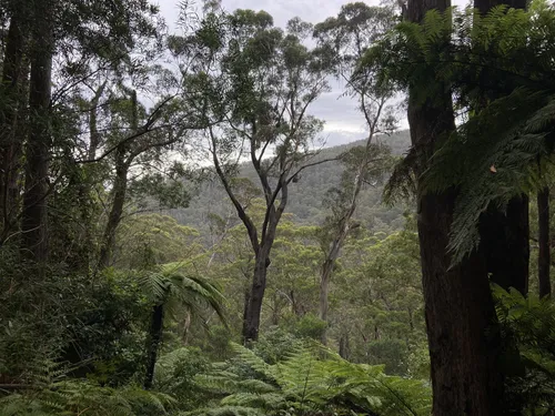 Best Hikes and Trails in Gulaga National Park | AllTrails