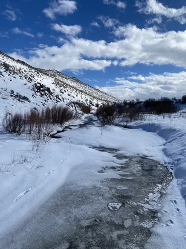 Best Hikes and Trails in Rasmussen Open Space | AllTrails