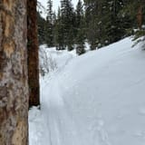Herman Gulch Trail, Colorado - 7,706 Reviews, Map | AllTrails
