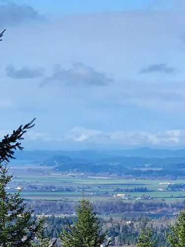 Best Hikes and Trails in Pilchuck Tree Farm | AllTrails