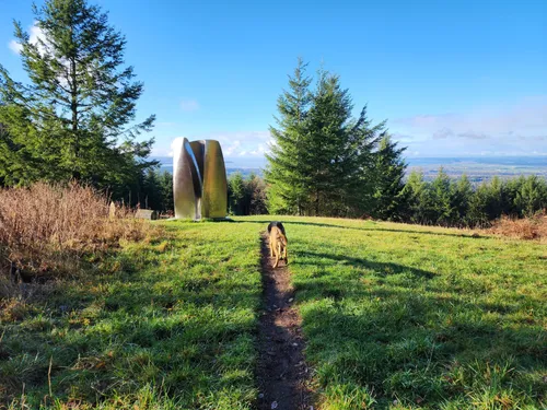 Best Hikes and Trails in Pilchuck Tree Farm | AllTrails