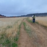 Ancient Lakes Trail, Washington - 1,284 Reviews, Map | AllTrails