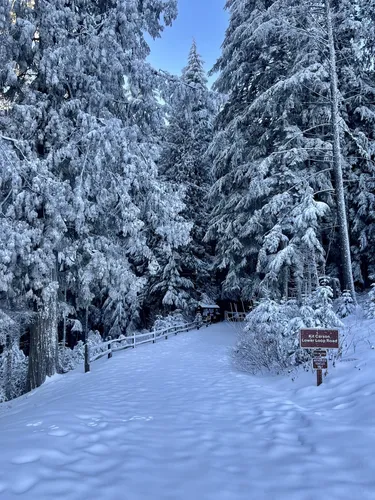Best Hard Trails in Mount Spokane State Park | AllTrails