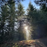 Alger Alps, Washington - 511 Reviews, Map | AllTrails