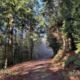 Alger Alps, Washington - 514 Reviews, Map | AllTrails