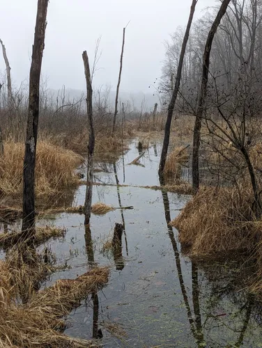 Best Hikes and Trails in Spicer Lake Nature Preserve | AllTrails