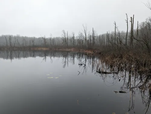 Best Hikes and Trails in Spicer Lake Nature Preserve | AllTrails