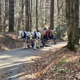 Cone Manor, Bass Lake, and The Maze Loop, North Carolina - 1,419 ...