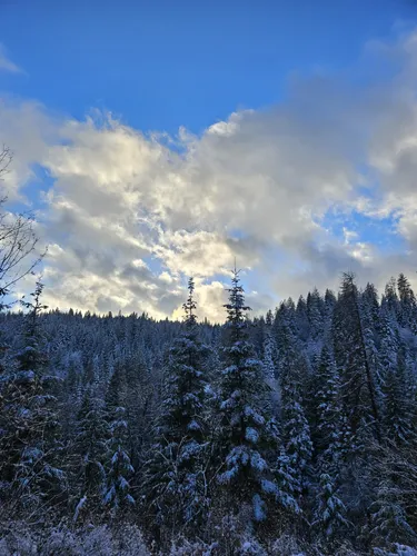 Best River Trails in Rathdrum | AllTrails Best River Trails in Rathdrum | AllTrails