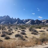 Christmas Tree Pass, Nevada - 65 Reviews, Map | AllTrails