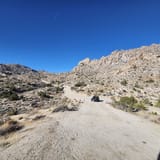 Christmas Tree Pass, Nevada - 65 Reviews, Map | AllTrails