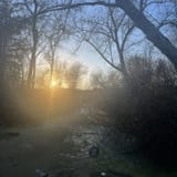 Spring Lake Loop, California - 1,497 Reviews, Map | AllTrails
