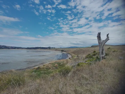 Best Hikes and Trails in Gellibrand Point Nature Recreation Area ...
