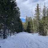 Tallman Ranch via Bridge Creek Trailhead, Colorado - 459 Reviews, Map ...