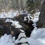 Tallman Ranch via Bridge Creek Trailhead, Colorado - 459 Reviews, Map ...