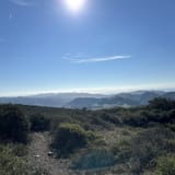 Prefumo Canyon Vista Point Trail, California - 239 Reviews, Map | AllTrails