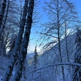 Mount Washington Trail, Washington - 2,638 Reviews, Map | AllTrails