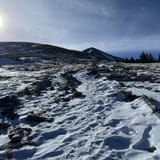 North Mount Elbert Trail, Colorado - 5,801 Reviews, Map | AllTrails