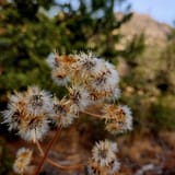 Balancing Rock Trail, Arizona - 609 Reviews, Map | AllTrails
