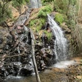 Sterkfontein Heritage Lodge Trail, Gauteng, South Africa - 107 Reviews ...