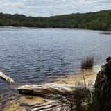 Poona Lake, Queensland, Australia - 73 Reviews, Map | AllTrails