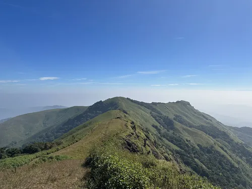 Best Forest Trails in Mananthavady | AllTrails