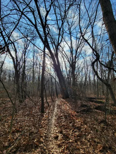 Best Hikes and Trails in Holly State Recreation Area | AllTrails