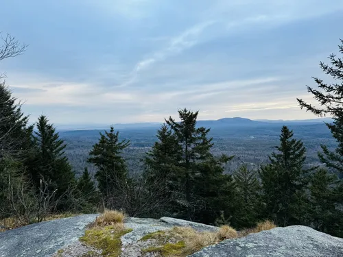 Best Forest Trails in Ossipee | AllTrails