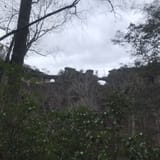 Window Cliffs Trail, Tennessee - 1,387 Reviews, Map | AllTrails