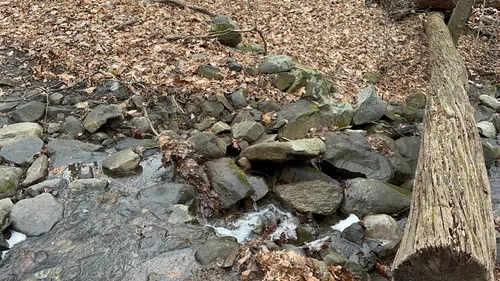 Best Hikes and Trails in Blauvelt State Park | AllTrails