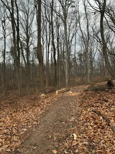 Best Hikes and Trails in Claude Moore Park | AllTrails