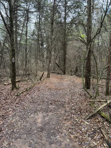 Best Hikes and Trails in Claude Moore Park | AllTrails