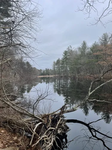 Best Hikes and Trails in Thanksgiving Ground Town Forest | AllTrails