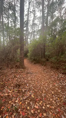 Best Hikes and Trails in Oak Tree Nature Park | AllTrails
