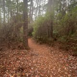 Oak Tree Nature Park Trail, Florida - 193 Reviews, Map | AllTrails