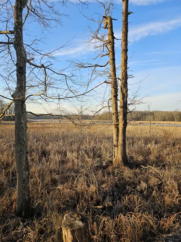 Best Hikes and Trails in Great Swamp National Wildlife Refuge | AllTrails