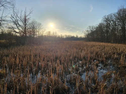 Best Hikes and Trails in Great Swamp National Wildlife Refuge | AllTrails