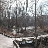 Lake Conestee Nature Park Loop, South Carolina - 1,322 Reviews, Map ...