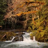 Kalama Falls Trail, Washington - 516 Reviews, Map | AllTrails